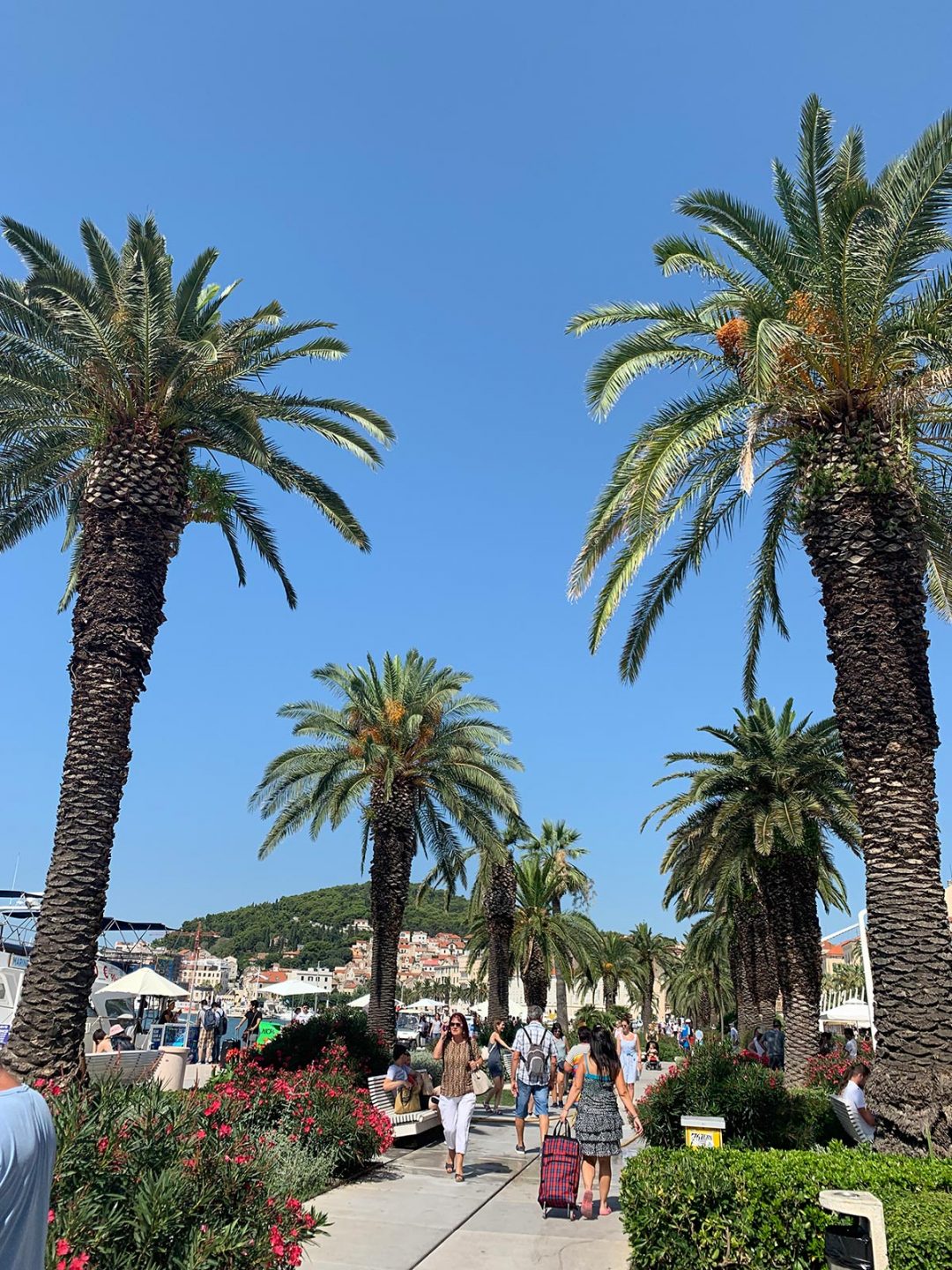 Booze Cruise in Split That Wasn’t | Party Trip Gone Wrong