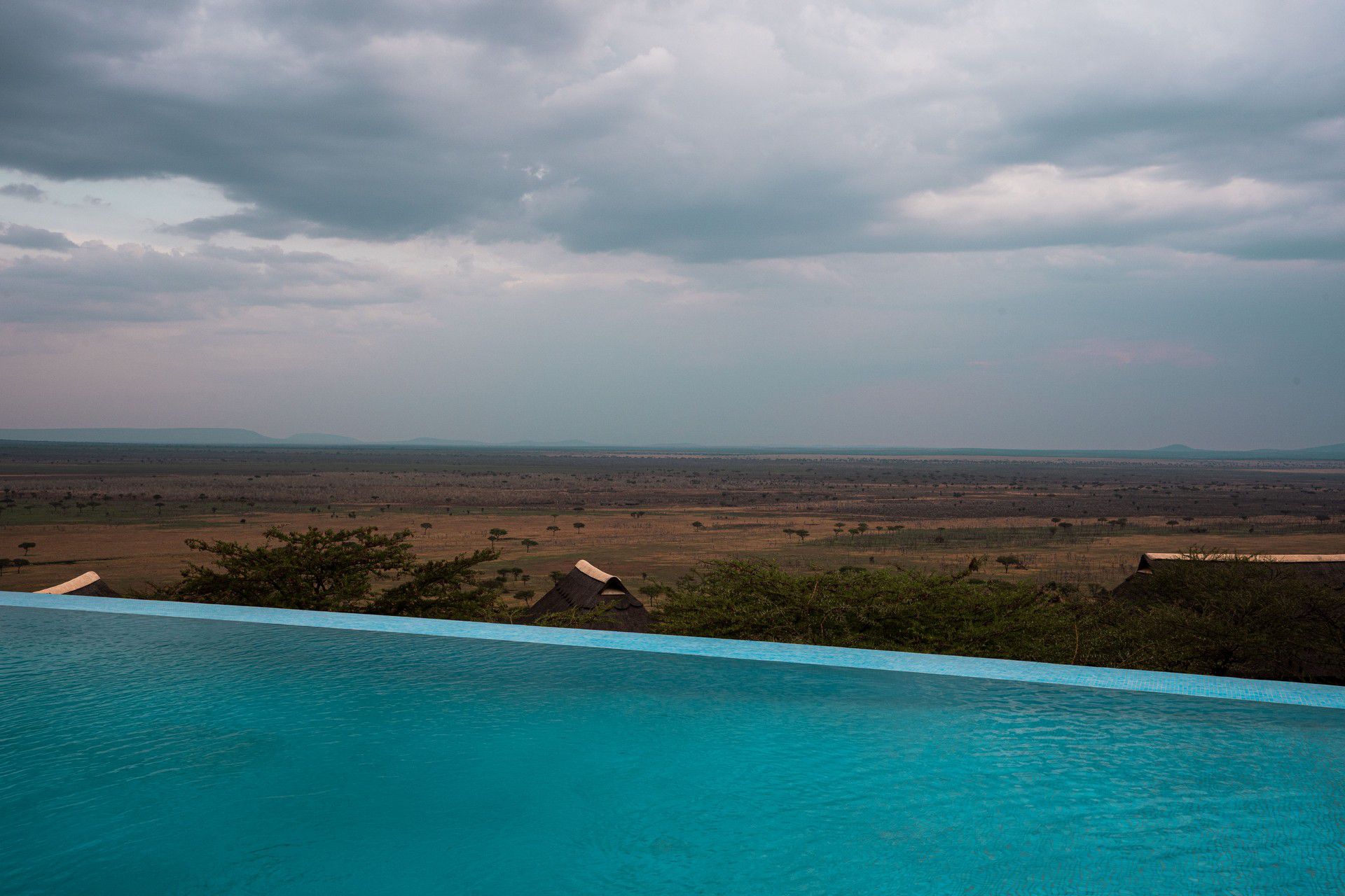 THE SERENGETI - djjsimpson